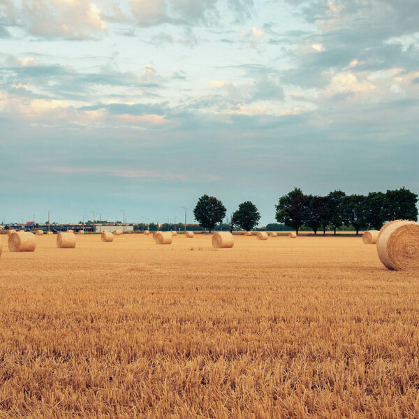 USDA UPDATES, FAIRS, BIG BEAUTIFUL BILL, ALFALFA UPDATE - MID-WEST FARM ...