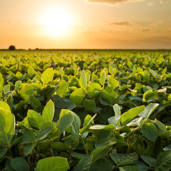 Corteva: Biologics Have A Role To Play In 2024 - MID-WEST FARM REPORT ...