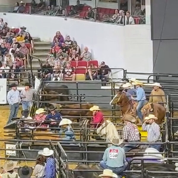 Father And Son Duo Coming To A Rodeo Near You - MID-WEST FARM REPORT ...