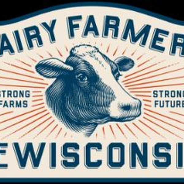 Here Comes The WI Art Of Cheese Festival - Jessica Pralle-Trimner - MID ...
