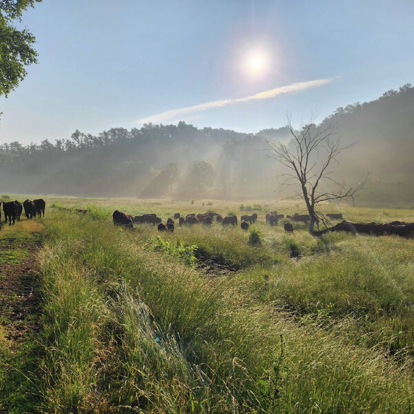 James Hundt-Hundt Farms LLC, Lacrosse County Sesquicentennial Farm ...