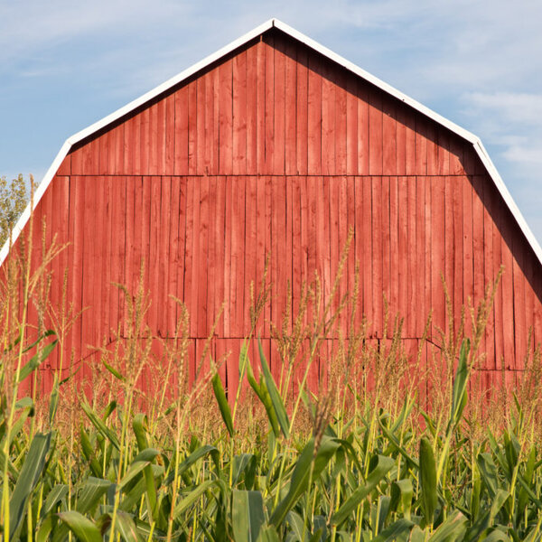 Previewing The 2024 Farm Economy - MID-WEST FARM REPORT - MADISON - Omny.fm