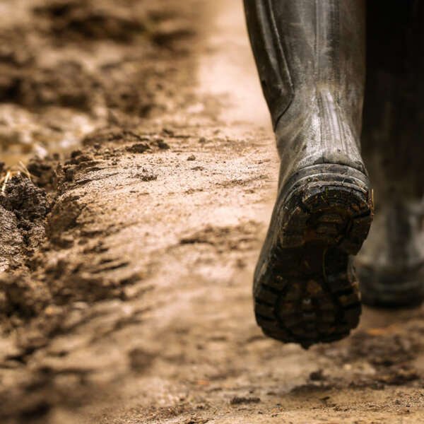 Rain Brings Risk Of Soil Compaction - How Long Do You Wait? - MID-WEST ...
