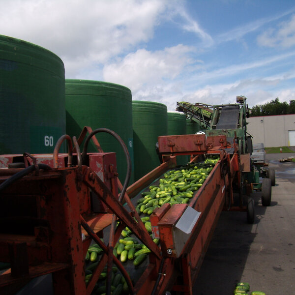 The Story Behind Your Pickle - MID-WEST FARM REPORT - MADISON - Omny.fm