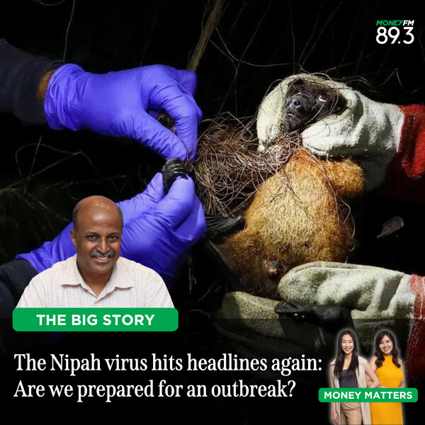 The Big Story: The Nipah virus is back - Will this be the next outbreak ...