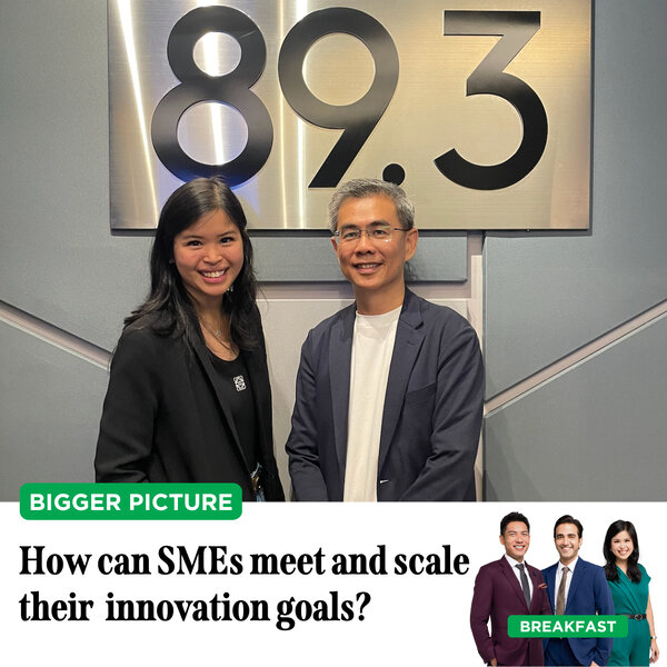 Bigger Pic: How can SMEs better adopt and scale up innovation ...