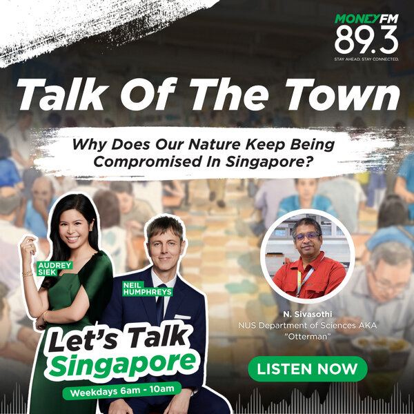 Talk of the Town: Why does nature keep being compromised in Singapore ...