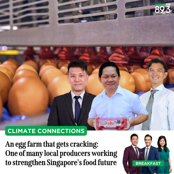 Climate Connections: An egg farm that gets cracking - one of many local ...