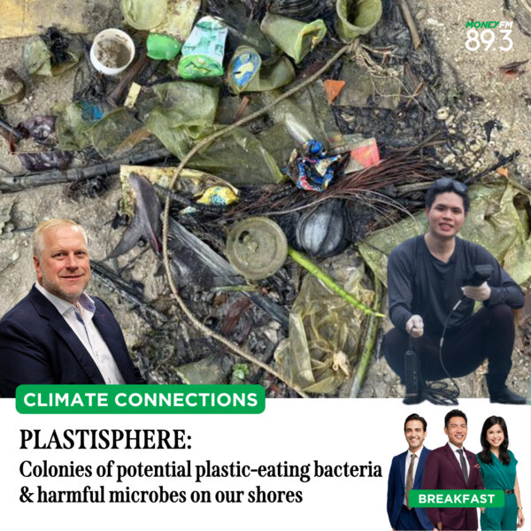 Climate Connections: Plastisphere - Colonies of potential plastic ...