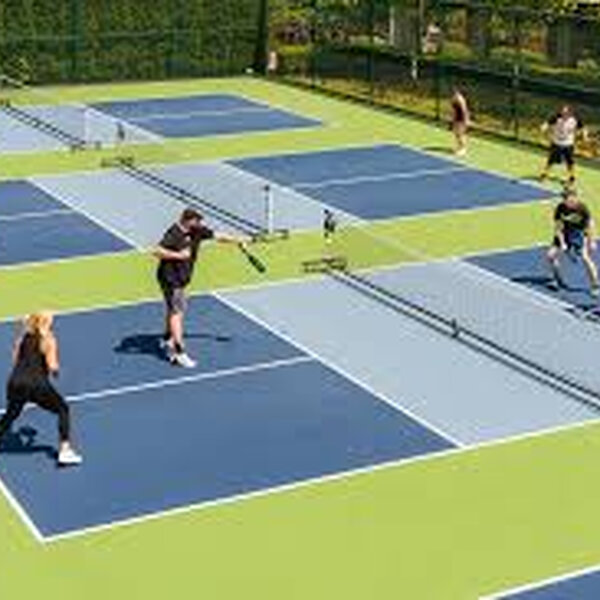 Mr. Dutta explains what a Kitcen does on a pickle ball court - MORNING ...