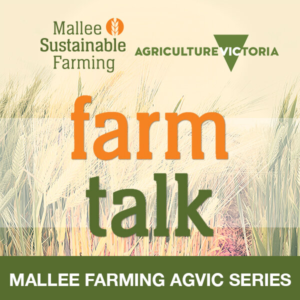 Planning for success during dry times with Chris Hunt - MSF Farm Talk ...