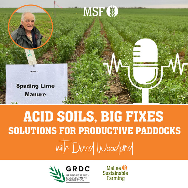 Acid Soils, Big Fixes - Solutions for Productive Paddocks - MSF Farm ...
