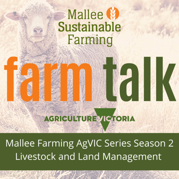 Feed Testing with Erica Schelfhorst - MSF Farm Talk - Omny.fm