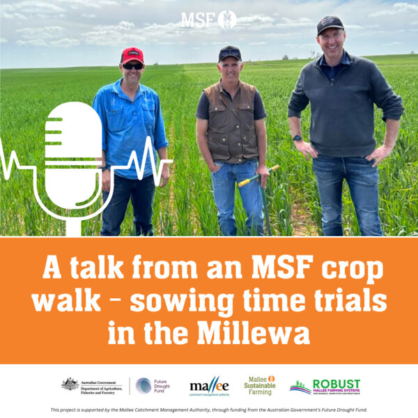 Anthony Rowe - A talk from an MSF crop walk: Sowing time and vari-rate ...
