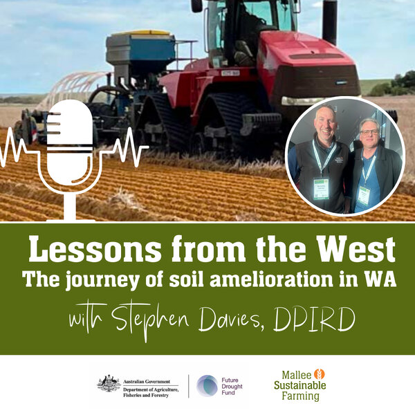 Lessons from the West - The journey of soil amelioration in WA - MSF ...