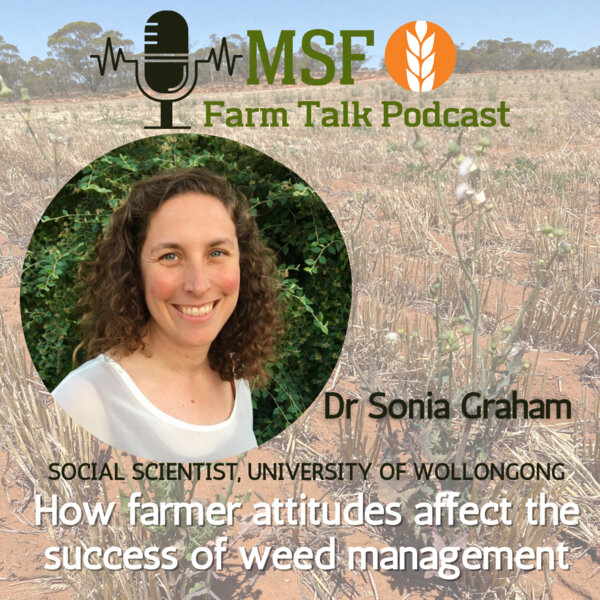 Farmer attitudes to Area Wide Management of weeds - MSF Farm Talk - Omny.fm