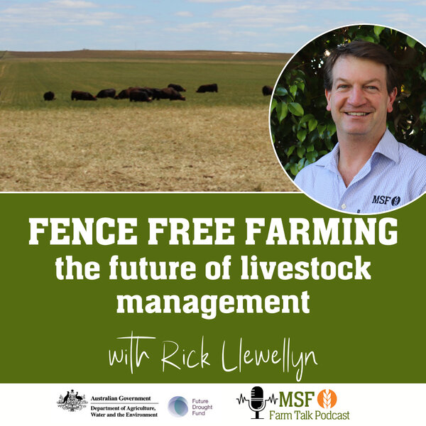 Fence-free farming - the future of livestock management - MSF Farm Talk ...