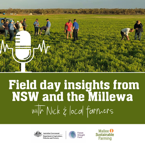 Field Day Insights from NSW and the Millewa - MSF Farm Talk - Omny.fm