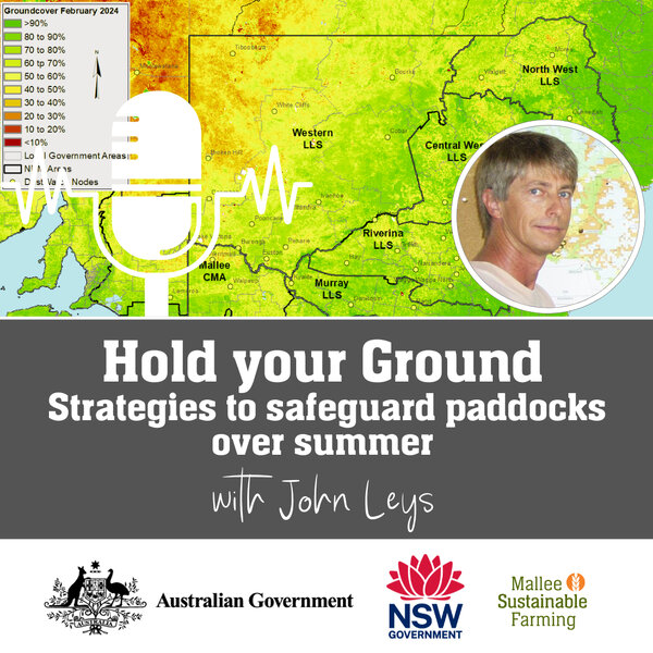 Hold your ground - Strategies to safeguard paddocks over summer - MSF ...