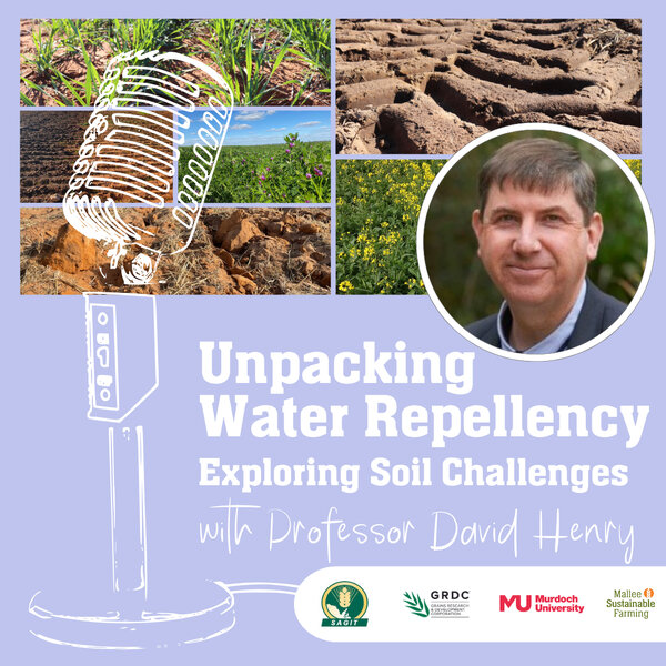 Is water repellency challenging your farming success? - MSF Farm Talk ...