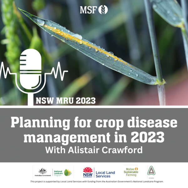 Leaf diseases to watch out for in '23 with Alistair Crawford - MSF Farm ...