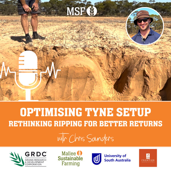 Optimising Tyne Setup- Rethinking Ripping for Better ROI - MSF Farm ...