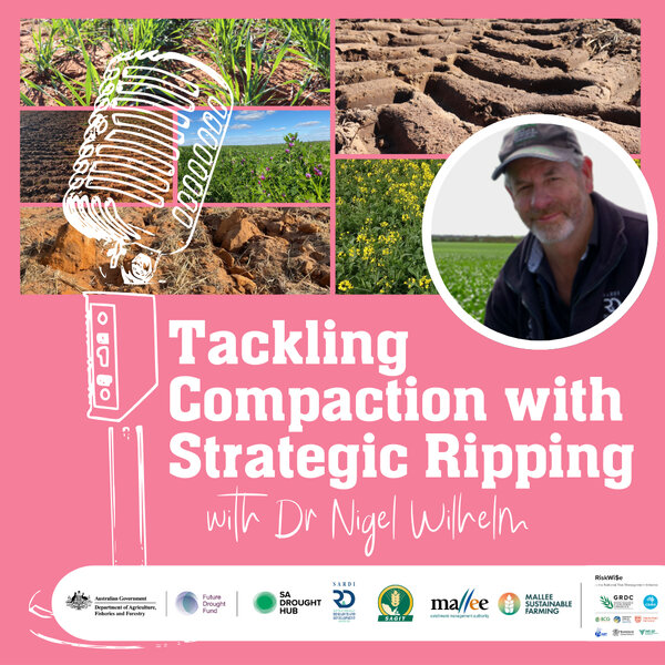 Tackling Compaction with Strategic Ripping - MSF Farm Talk - Omny.fm