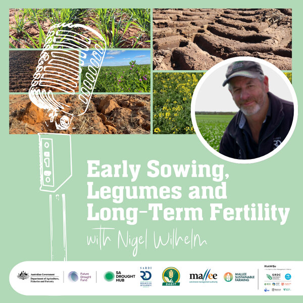 Early Sowing, Legumes and Long- Term Fertility - MSF Farm Talk - Omny.fm