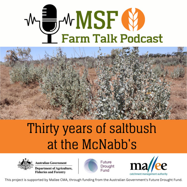 Thirty years of saltbush at the McNabb's - MSF Farm Talk - Omny.fm