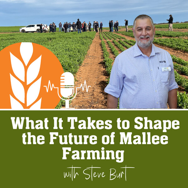 What it takes to shape the future of Mallee farming - MSF Farm Talk ...