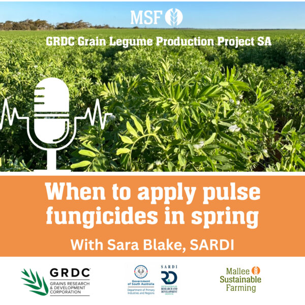 When to apply fungicides in spring - MSF Farm Talk - Omny.fm