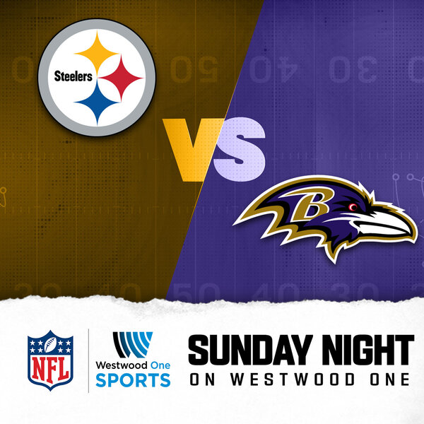 PIT 16-13 M. Fitzpatrick Game-Sealing Interception - NFL on Westwood ...