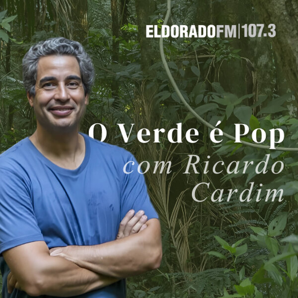 Necessidade de uma Embrapa Paisagismo e Arborização - O Verde é Pop ...