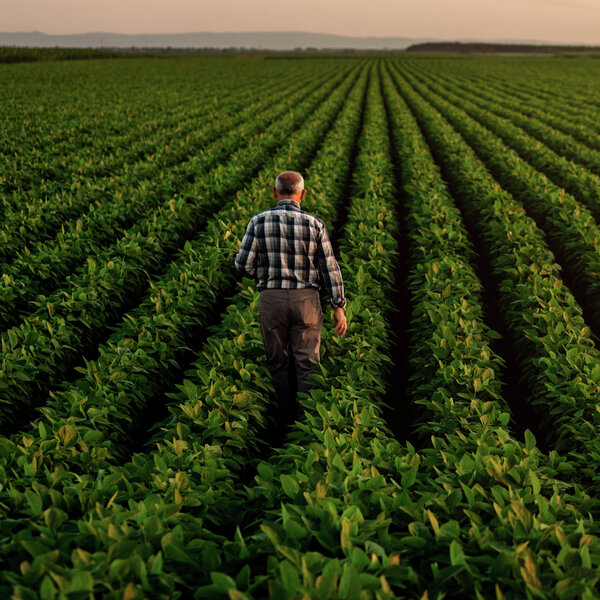 Landboumeesterplan sonder boere? Wie praat, en wie nie? - Op en Wakker ...