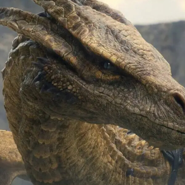 'House of the Dragon' Dragons & Who They Belong To - Ottawa's Pure ...