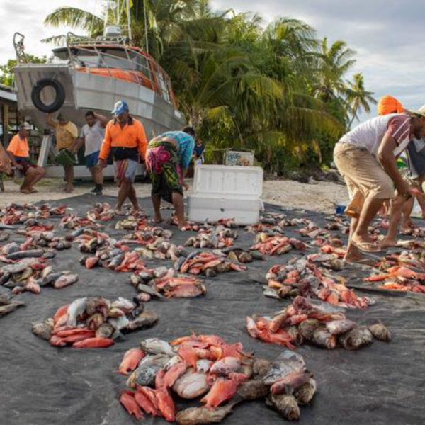 Inati - Tokelau cultural tradition - Pacific Media Network - Omny.fm