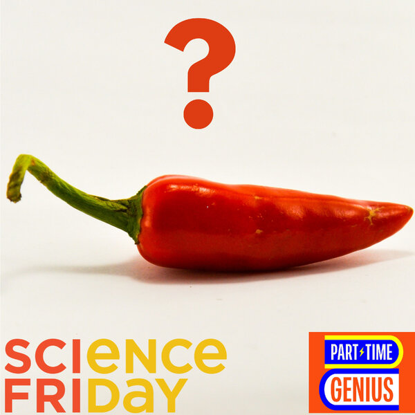 Super Food Science Excellence Trivia Blow Out! with Science Friday ...