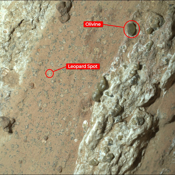 Space Policy Edition: Should a (potential) biosignature revive Mars ...