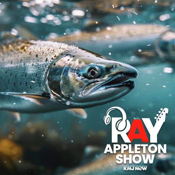 Water or Salmon? Merced Irrigation District GM Live On KMJ - Ray ...