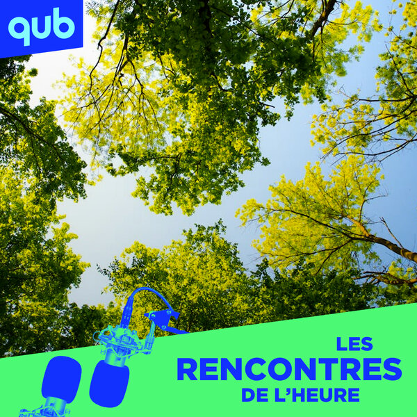 Victoriaville: «Si tu plantes un arbre mais qu’il ne fait pas assez d ...