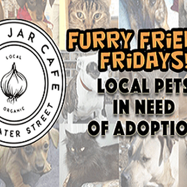 The Mason Jar Cafe Furry Friend of the Week! - WIRX - Omny.fm