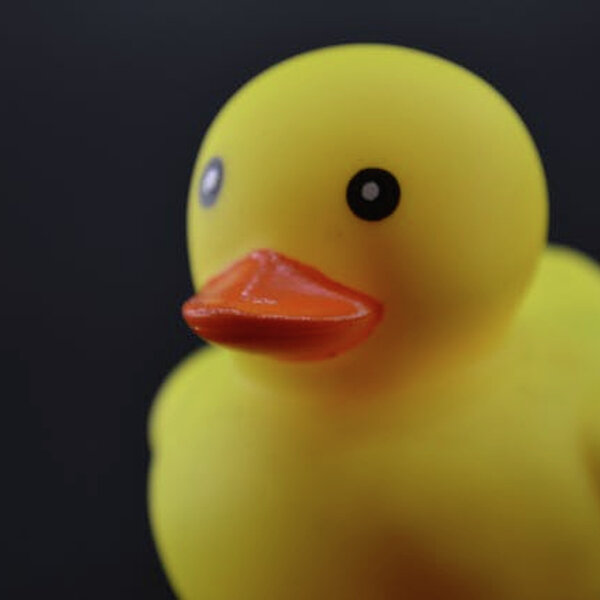 Hiding rubber ducks. A museum of failures. Grant Bilse! - Rock Mornings ...