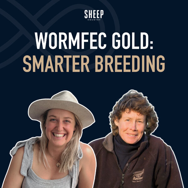 Episode 5 - WormFEC Gold: Smarter Breeding - SHEEP Country - Omny.fm