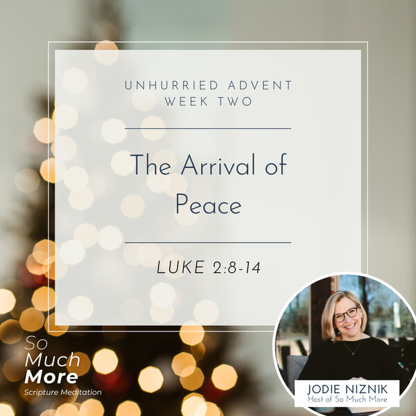 The Arrival of Peace | Luke 2:8-14 (Advent Week 2) - So Much More ...