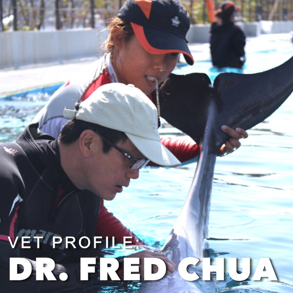 Vet Profile: Dr. Fred Chua, 'the fish vet' - This Podcast Has Fur And ...