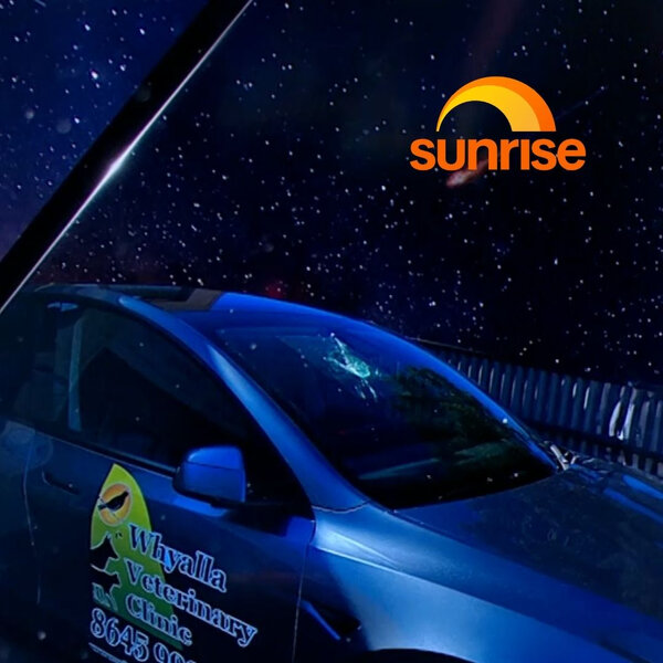Vet's new Tesla apparently struck by meteor on highway - Sunrise - Omny.fm