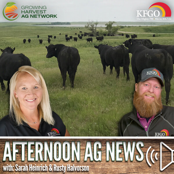 Afternoon Ag News, October 29, 2025: Cattle prices remain strong at the ...