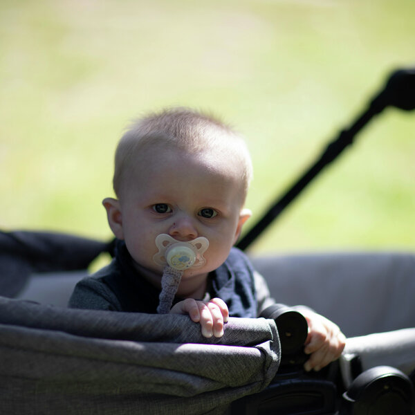 Health Canada recalls baby stroller for posing a choking hazard - The ...