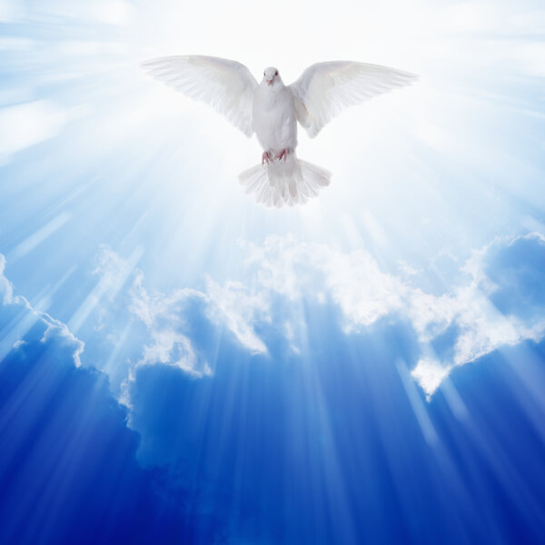 🔥 What's YOUR Charism? (And Why It's Not About You) 🔥 (Father Simon ...