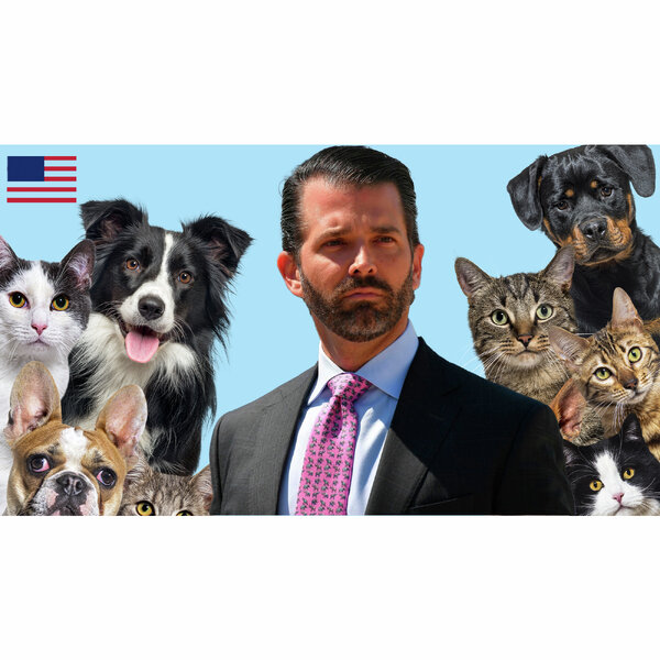 Cats and Dogs, Living Together! (On A Dinner Plate) ft. Donald Trump Jr ...